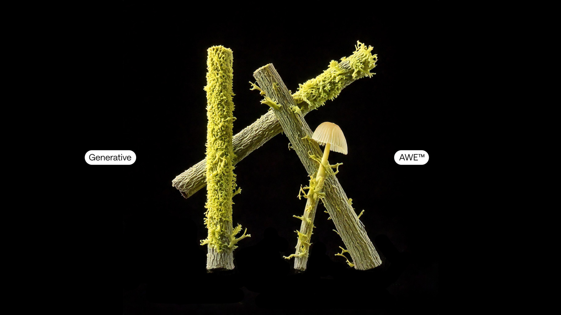 Twice Shy | Kobase - Rebranding