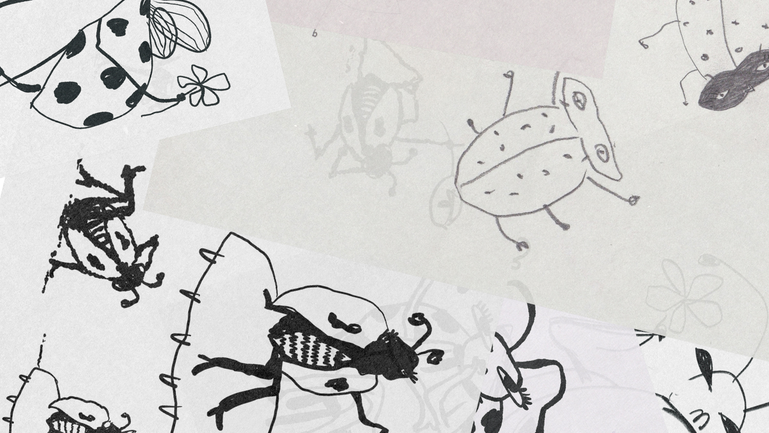 Twice Shy | Underbug - Identity & branding